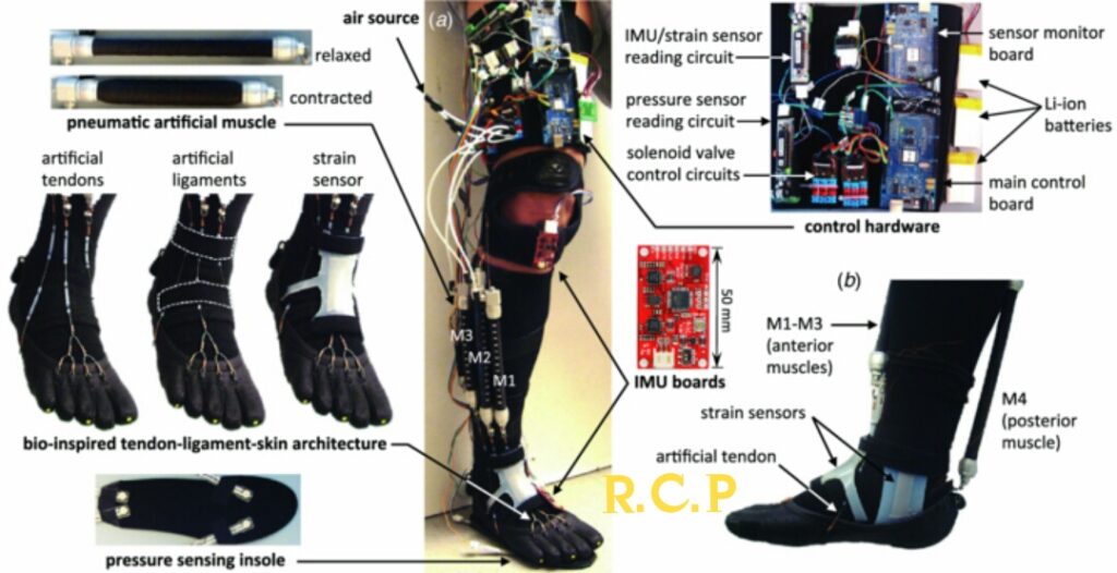 Exoskeleton Work Architecture - ROBOTICS & Ai